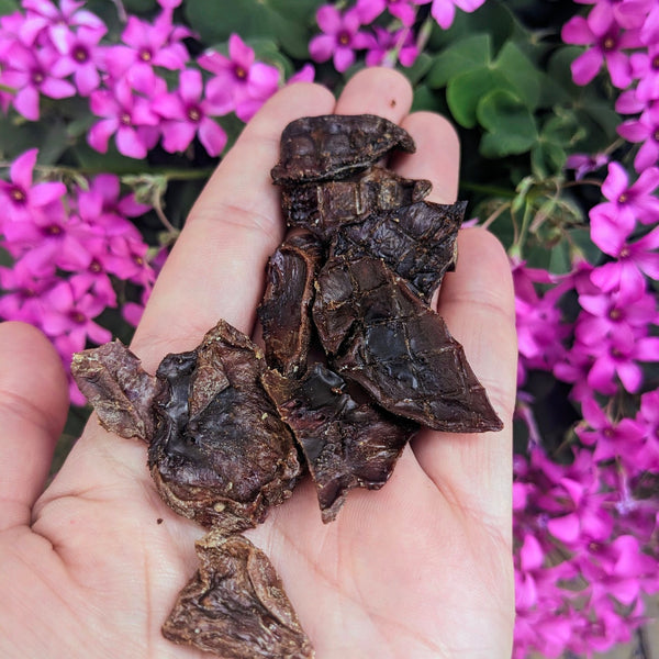 Riñón de cerdo deshidratado - 100% natural – AL ORIGEN PETFOODS