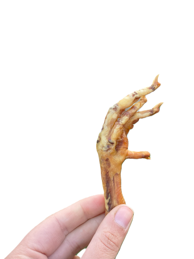 Al Origen snacks para perros y gatos – AL ORIGEN PETFOODS
